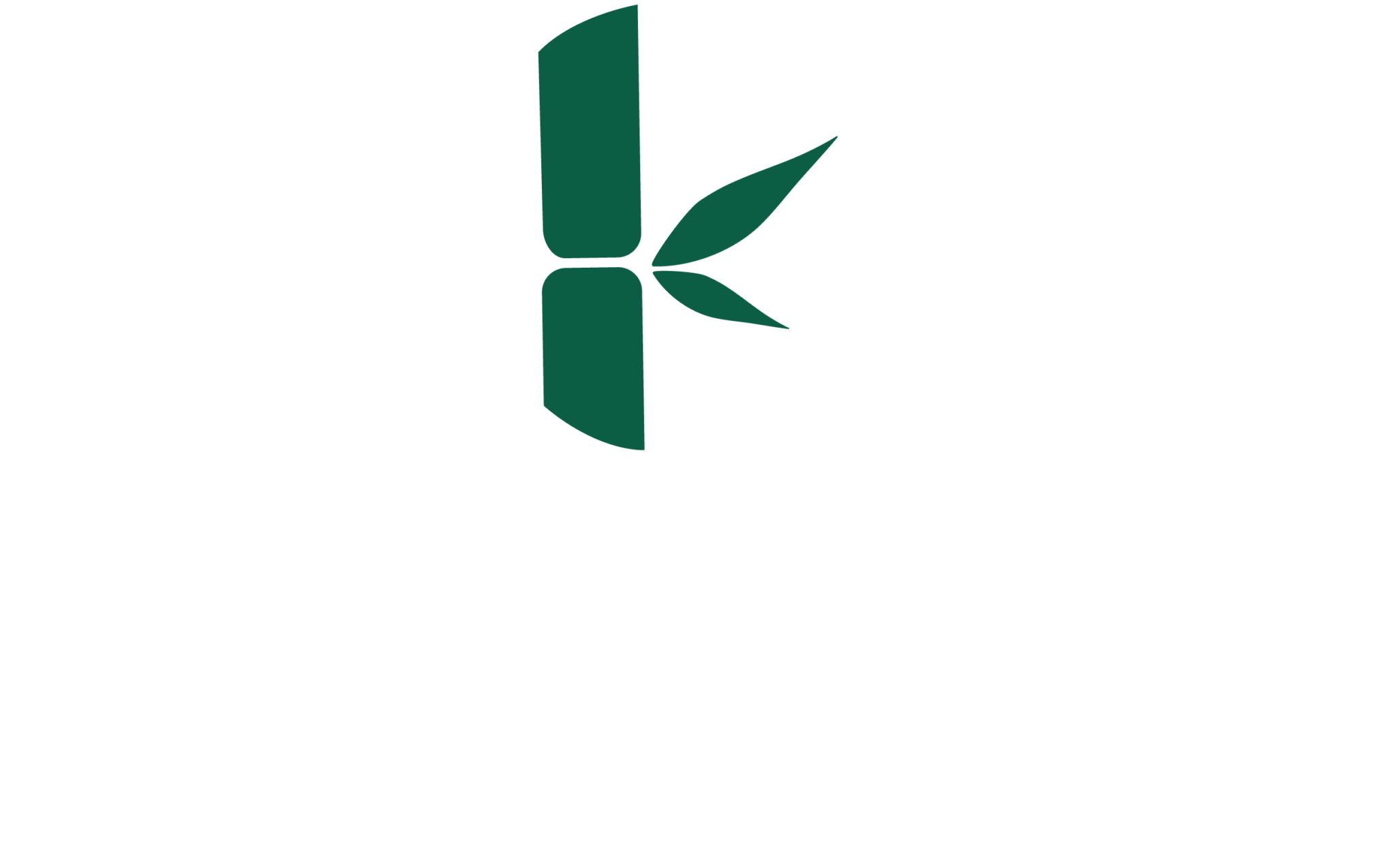 Bamboo Capital Partners | About us