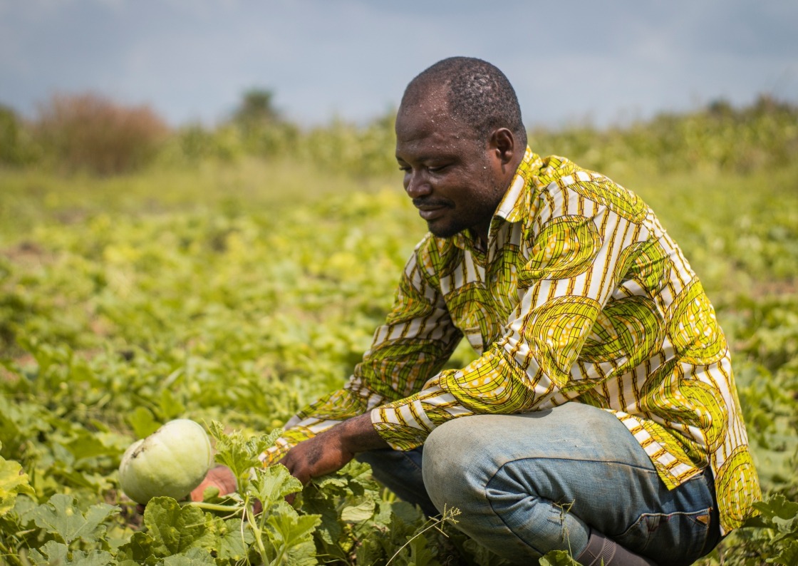 ABC Fund's investments over 5 years support 720,000 farmers | Bamboo ...